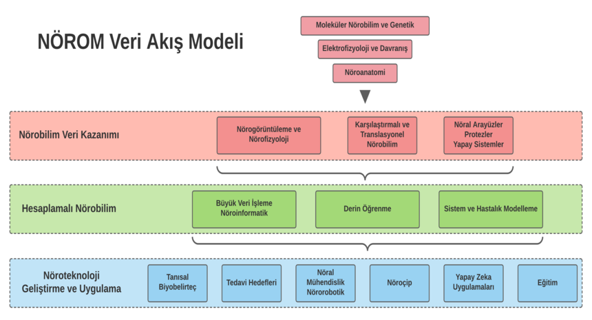 Nörobilim Ve Nöroteknoloji Mükemmeliyet Ortak Uygulama Ve Araştırma Merkezi